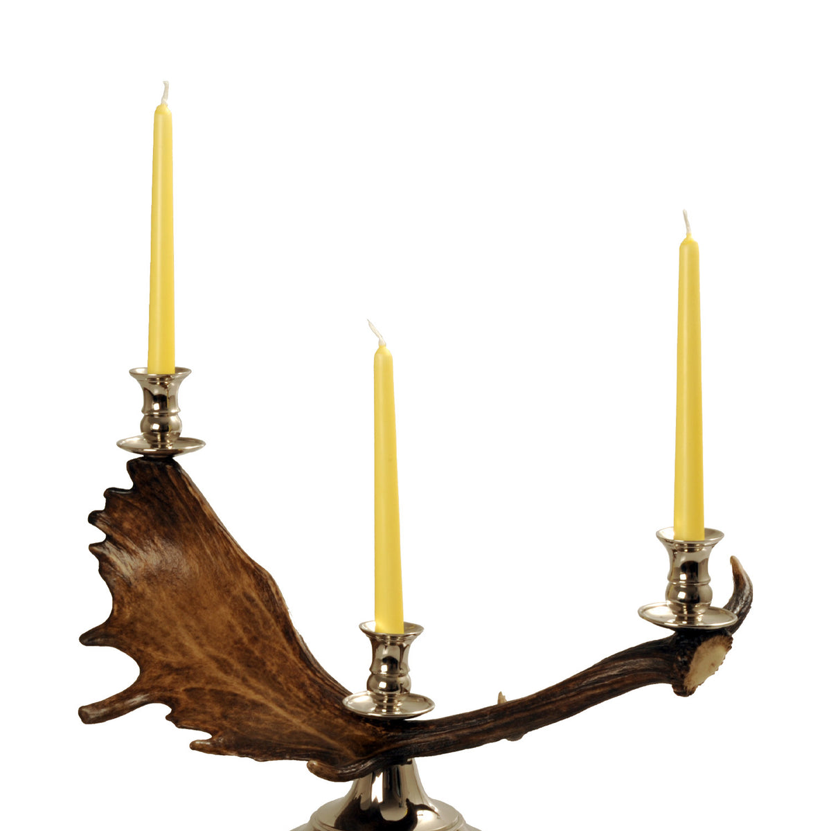 3 Candle Fallow Antler Candelabra – Gorsuch