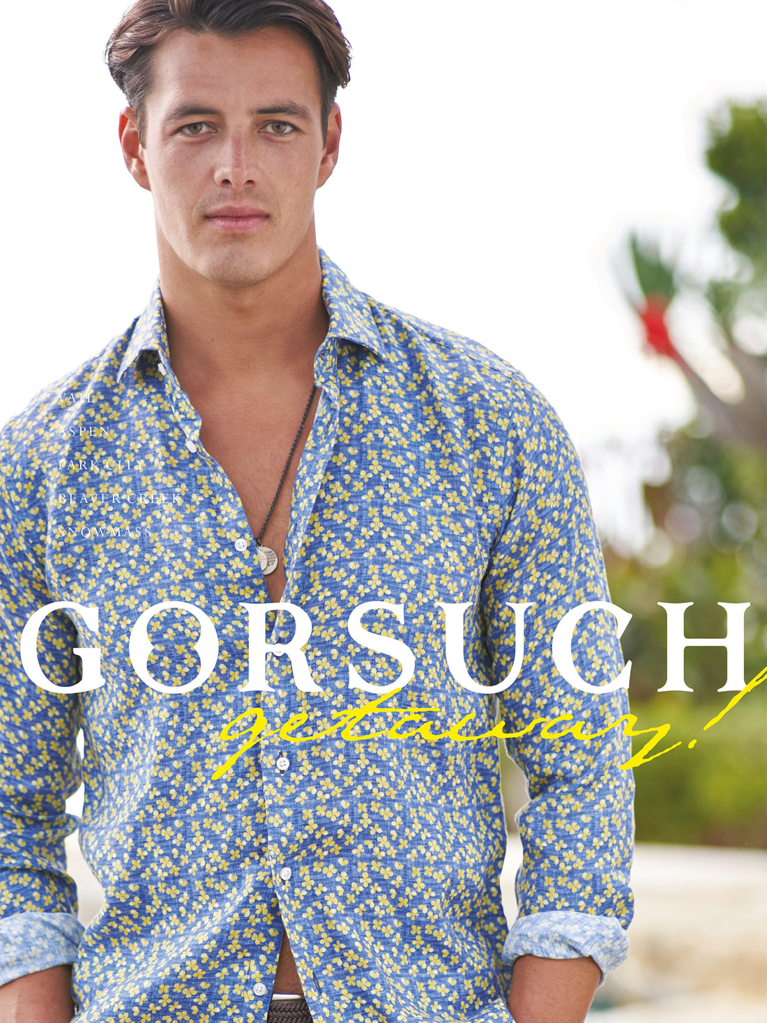 Gorsuch Catalogs