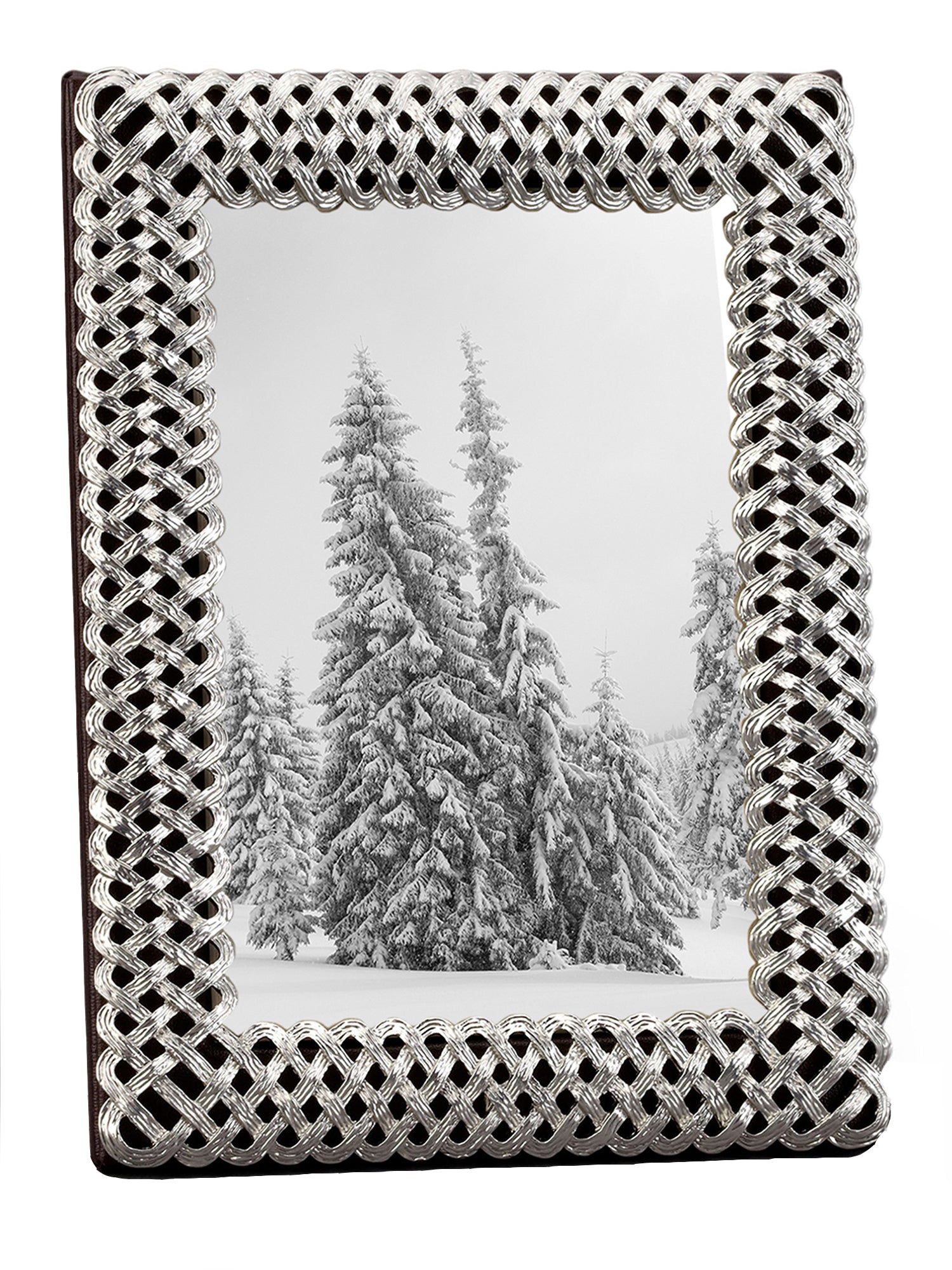 Platinum Braid Frame 8X10